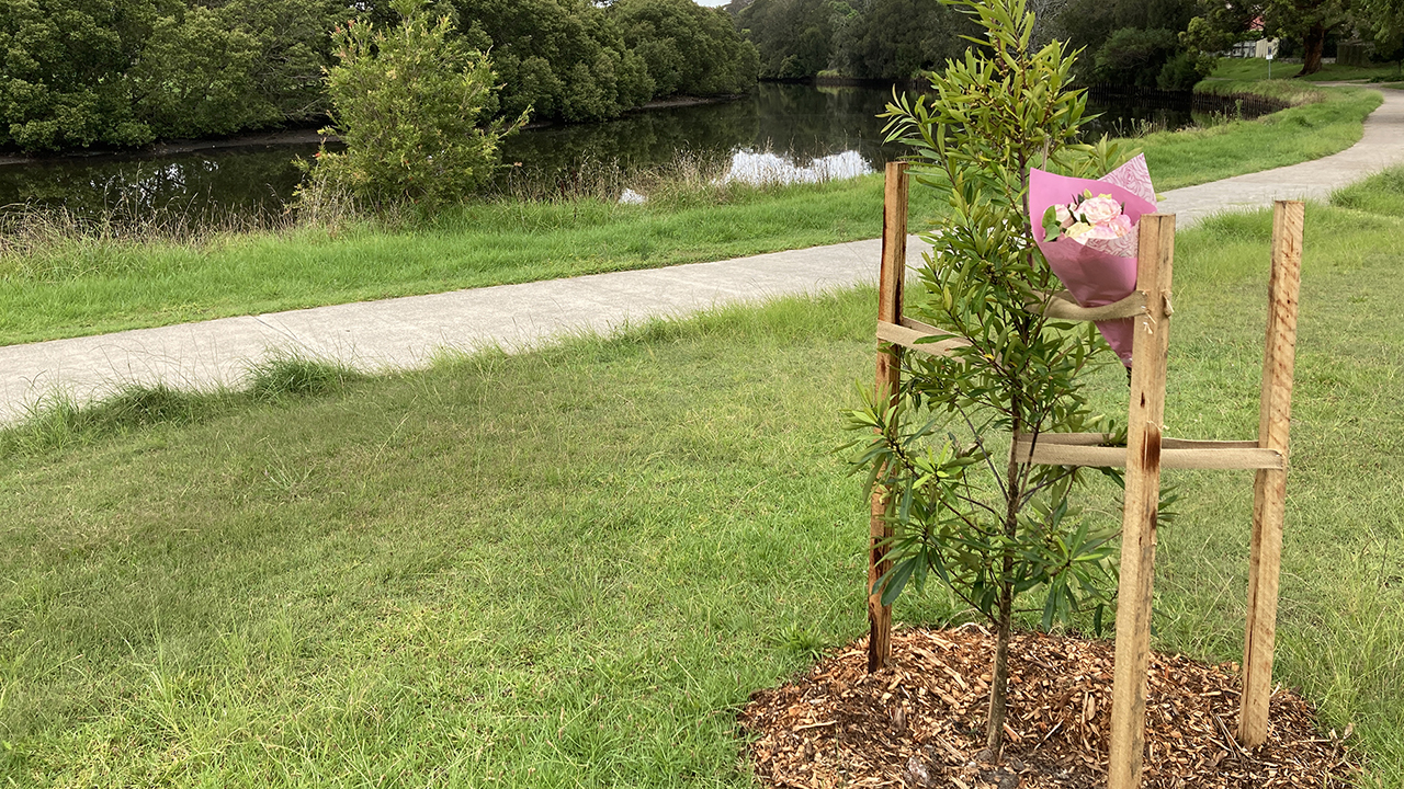 Memorial Trees | City of Canterbury Bankstown