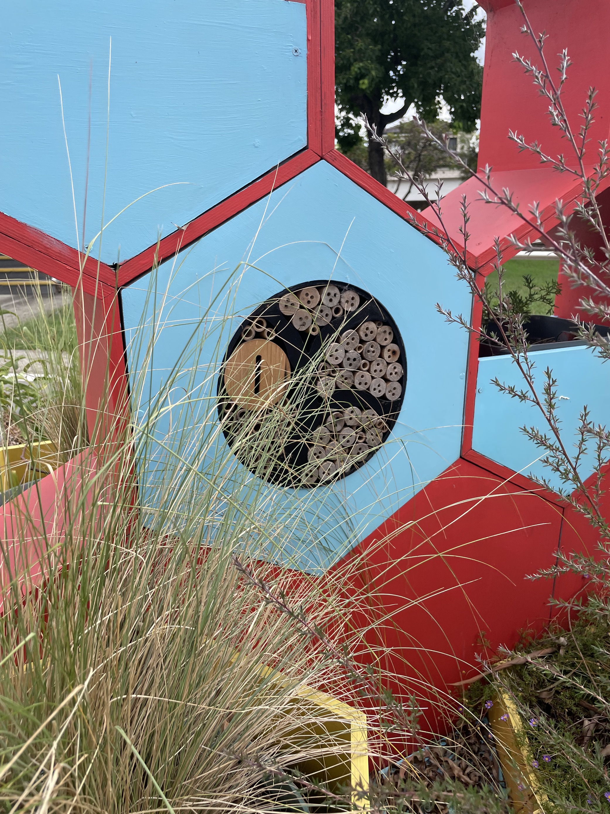 Native bee keeping with Tim Heard | City of Canterbury Bankstown
