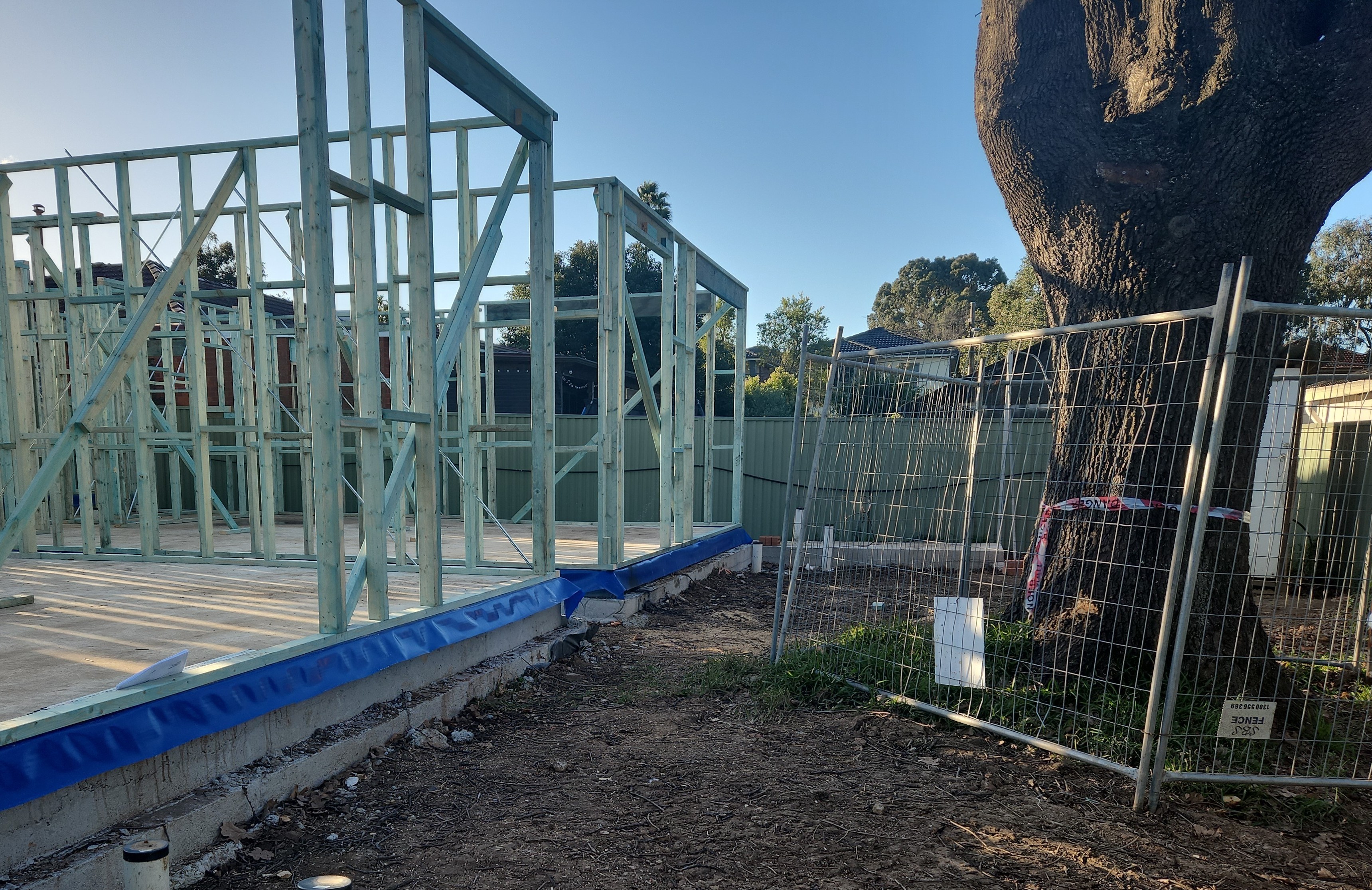 Developer cops $45k fine for destroying protected tree | News, City of