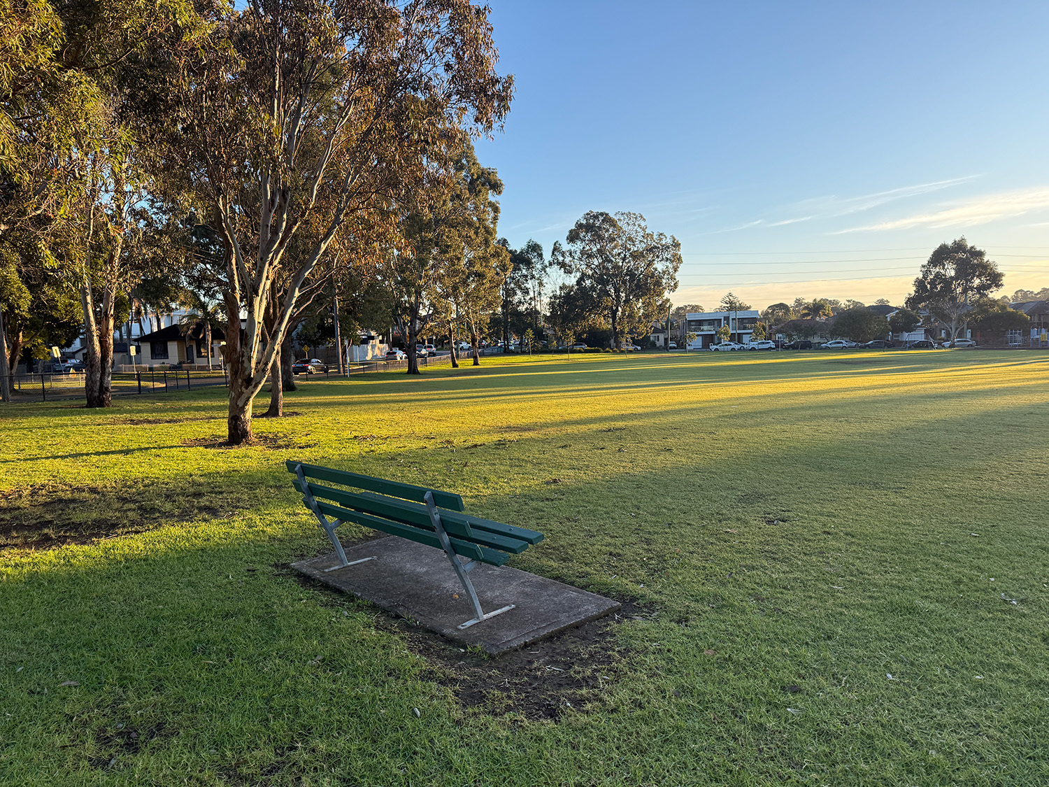 Johnstone Reserve | Place, City of Canterbury Bankstown