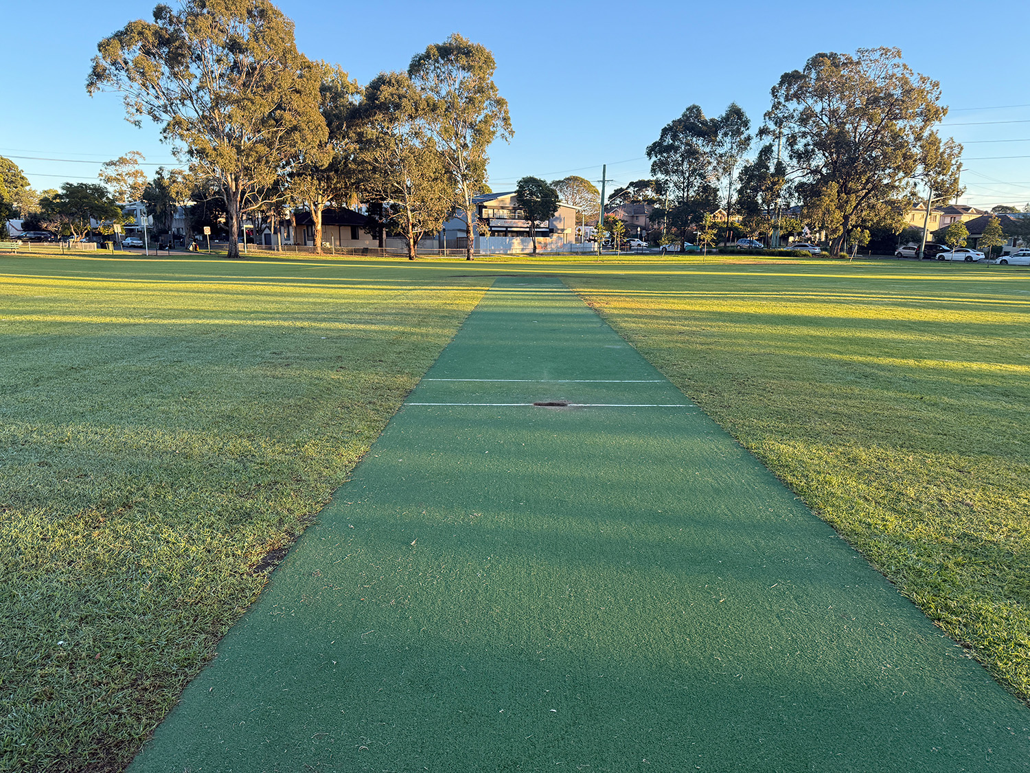 Johnstone Reserve | Place, City of Canterbury Bankstown