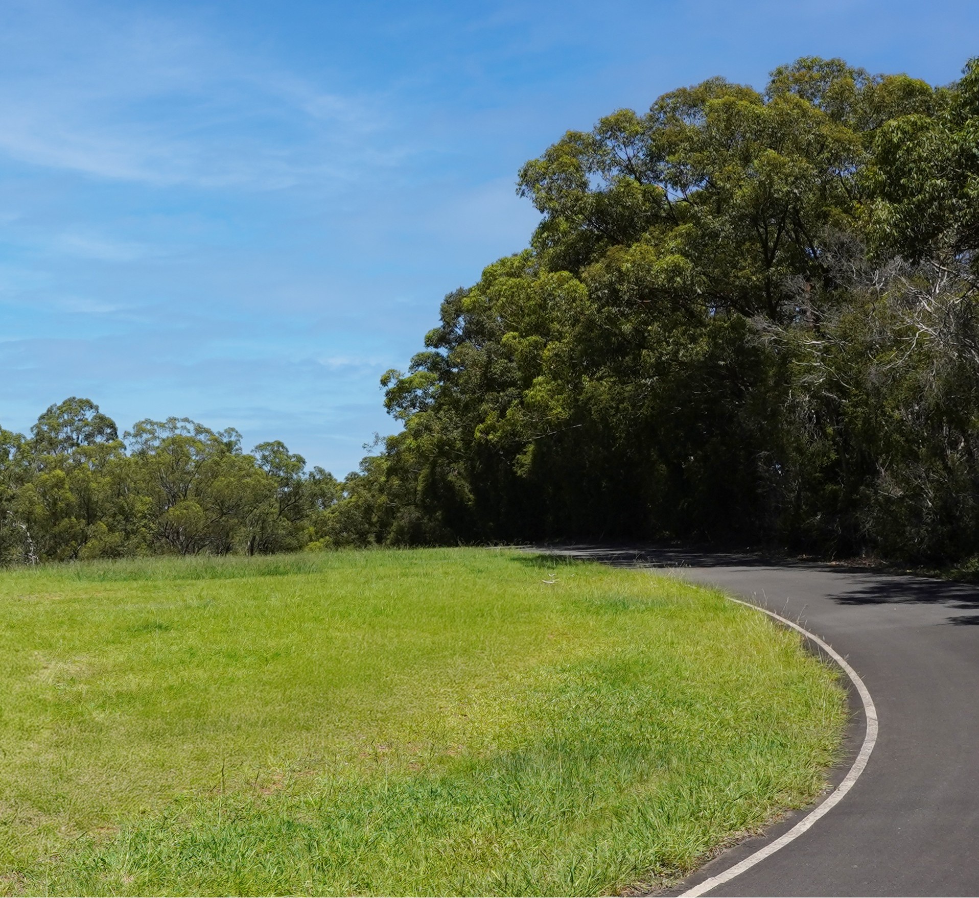 Lansdowne Reserve | Place, City of Canterbury Bankstown