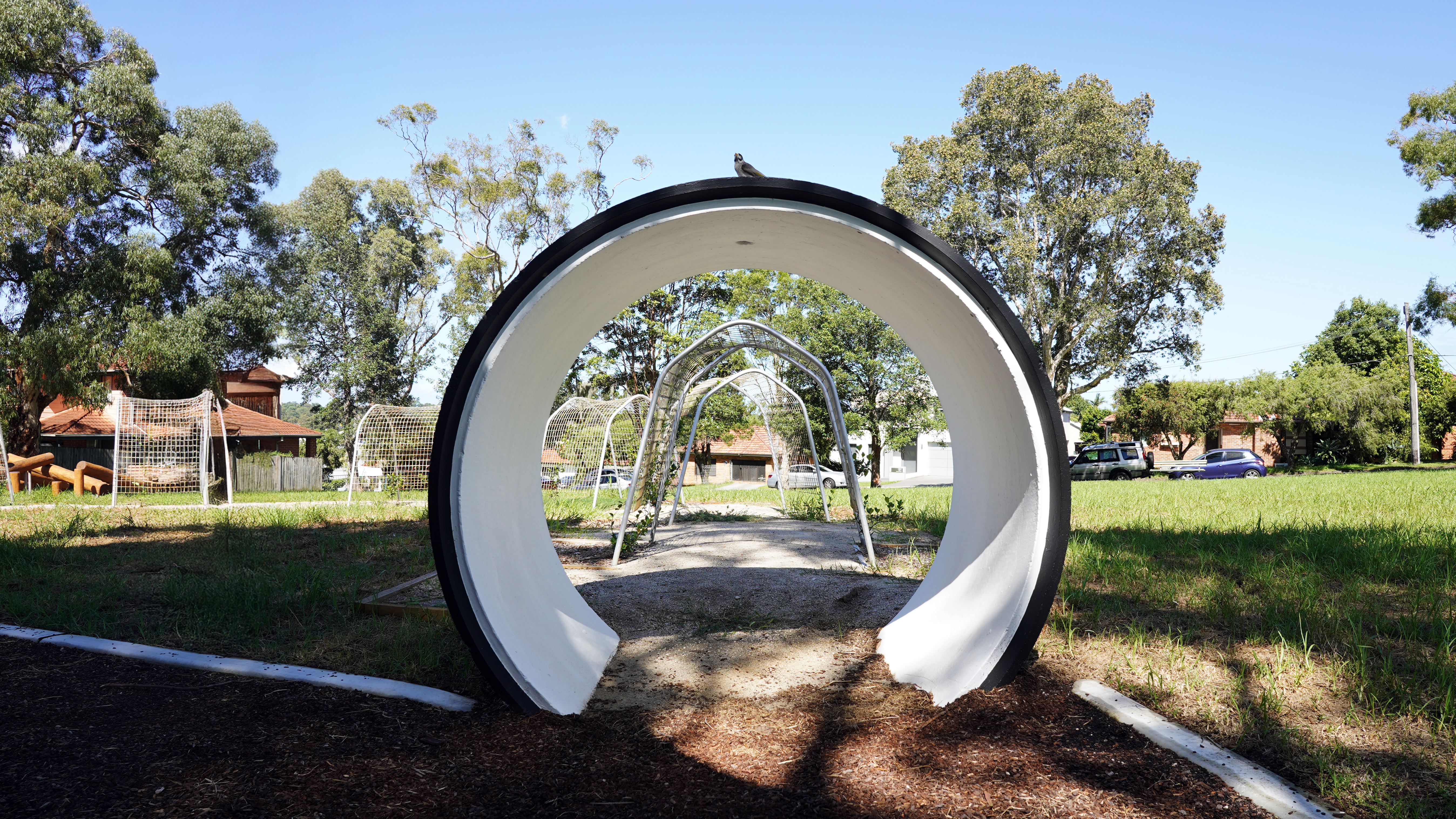 Jack Chesher Reserve | Place, City of Canterbury Bankstown