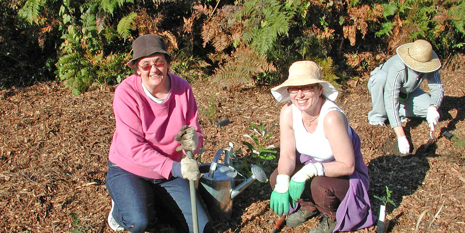 Environmental programs and initiatives | City of Canterbury Bankstown